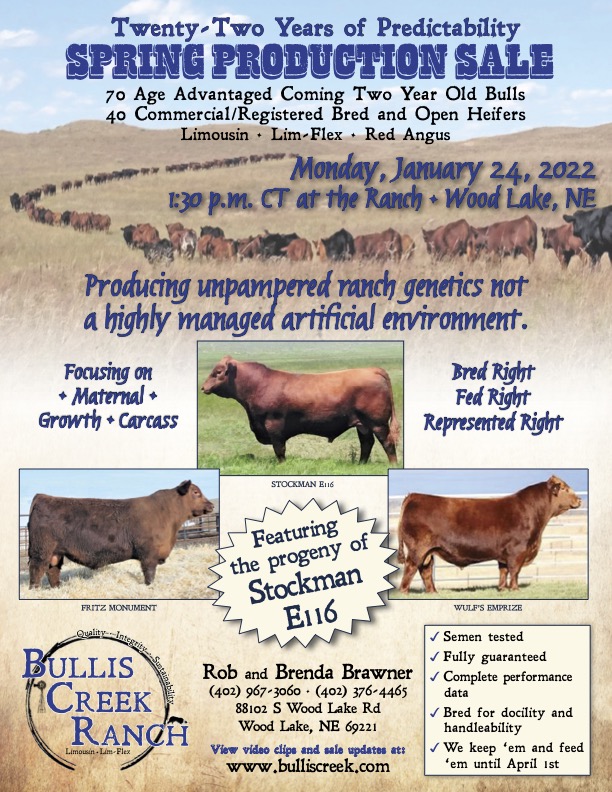 Bullis Creek Ranch – Red Angus, Limousin, Border Collies and Cabin Rental